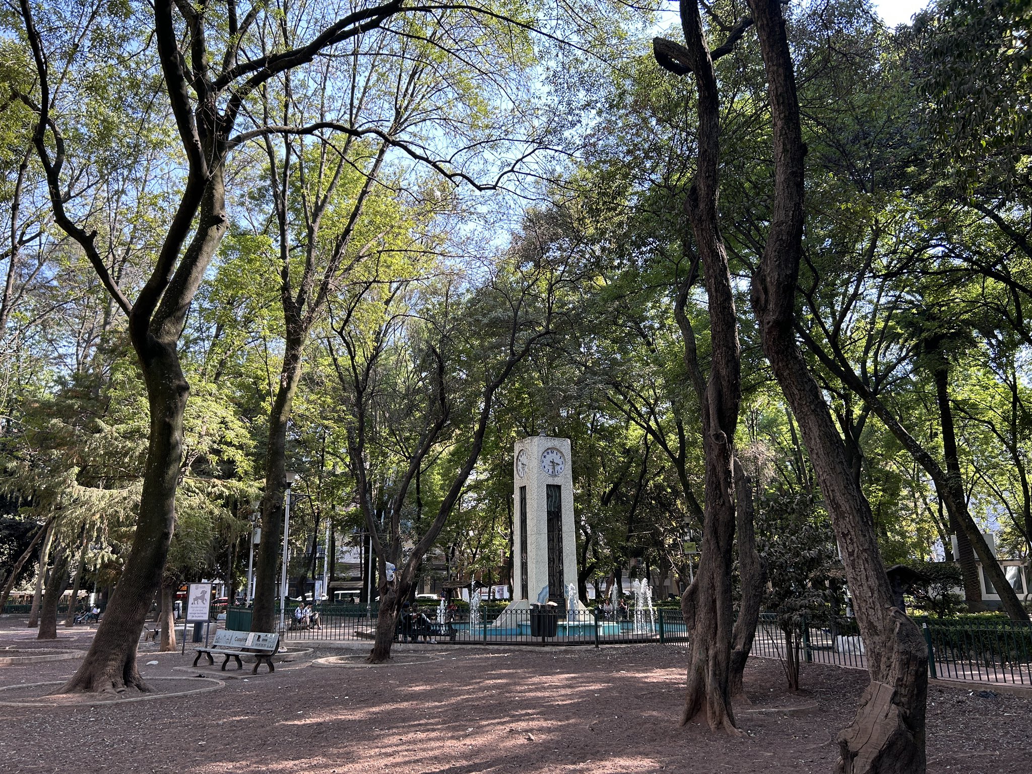 ¡5 Parques para Pasear con tu Peludo en la Ciudad de México! 🐾 - Modu